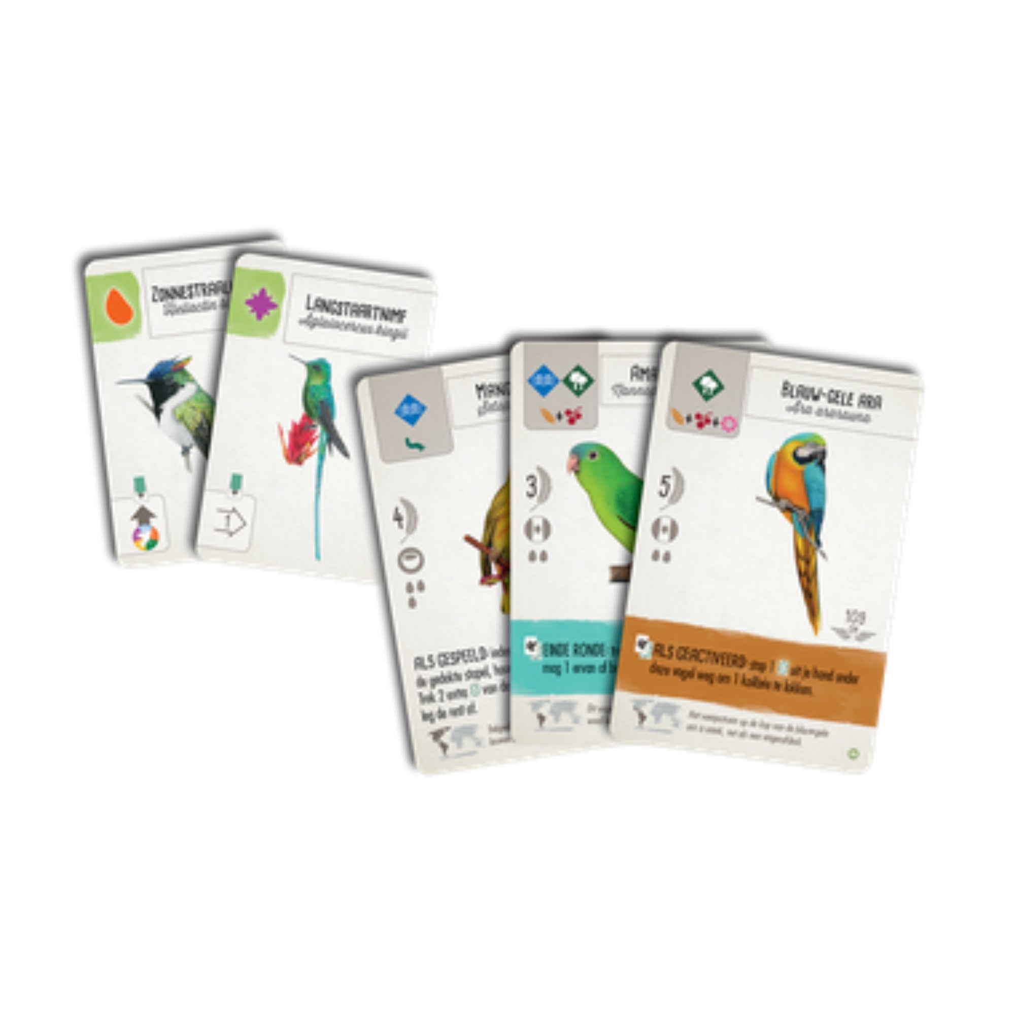 Wingspan uitbreiding: Midden- en Zuid-Amerika uitbreiding (NL) [PRE OR ...